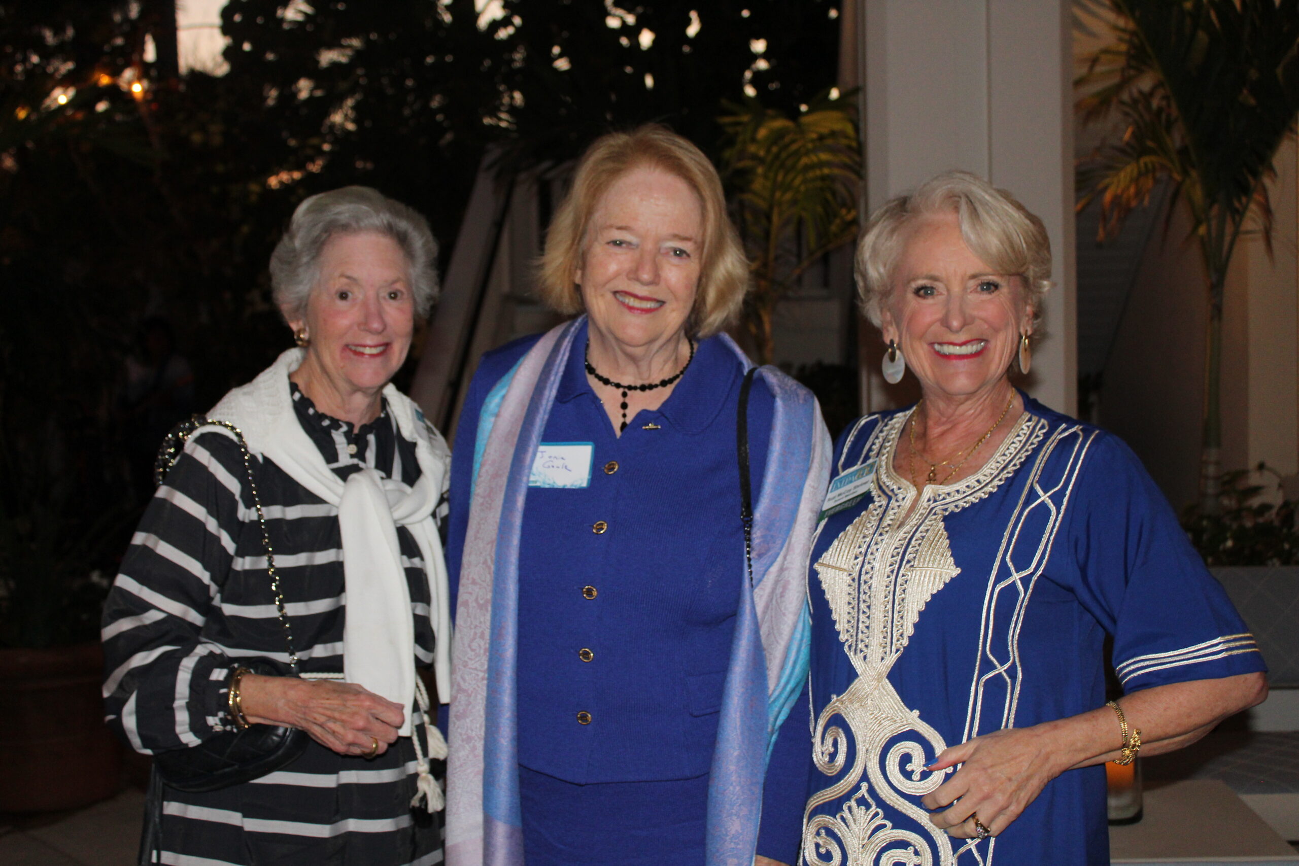 Nonprofit Information Session Photo Gallery - Impact 100